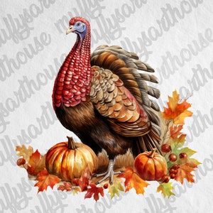 Thanksgiving Turkeys Cliparts,watercolor Clipart,fall Clipart,autumn ...