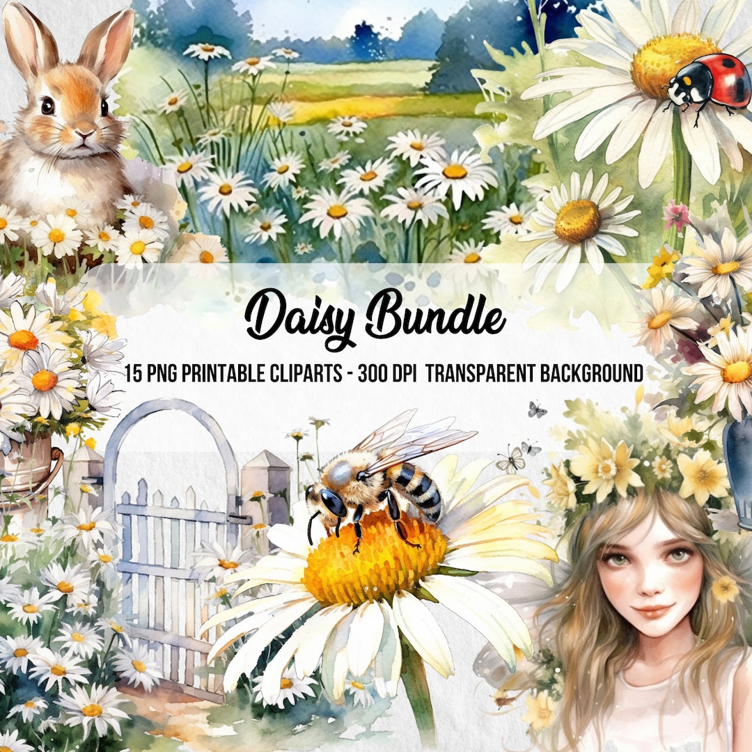 Daisy Bundle,junk Journal,scrapbook,floral Images,clipart Bundle ...