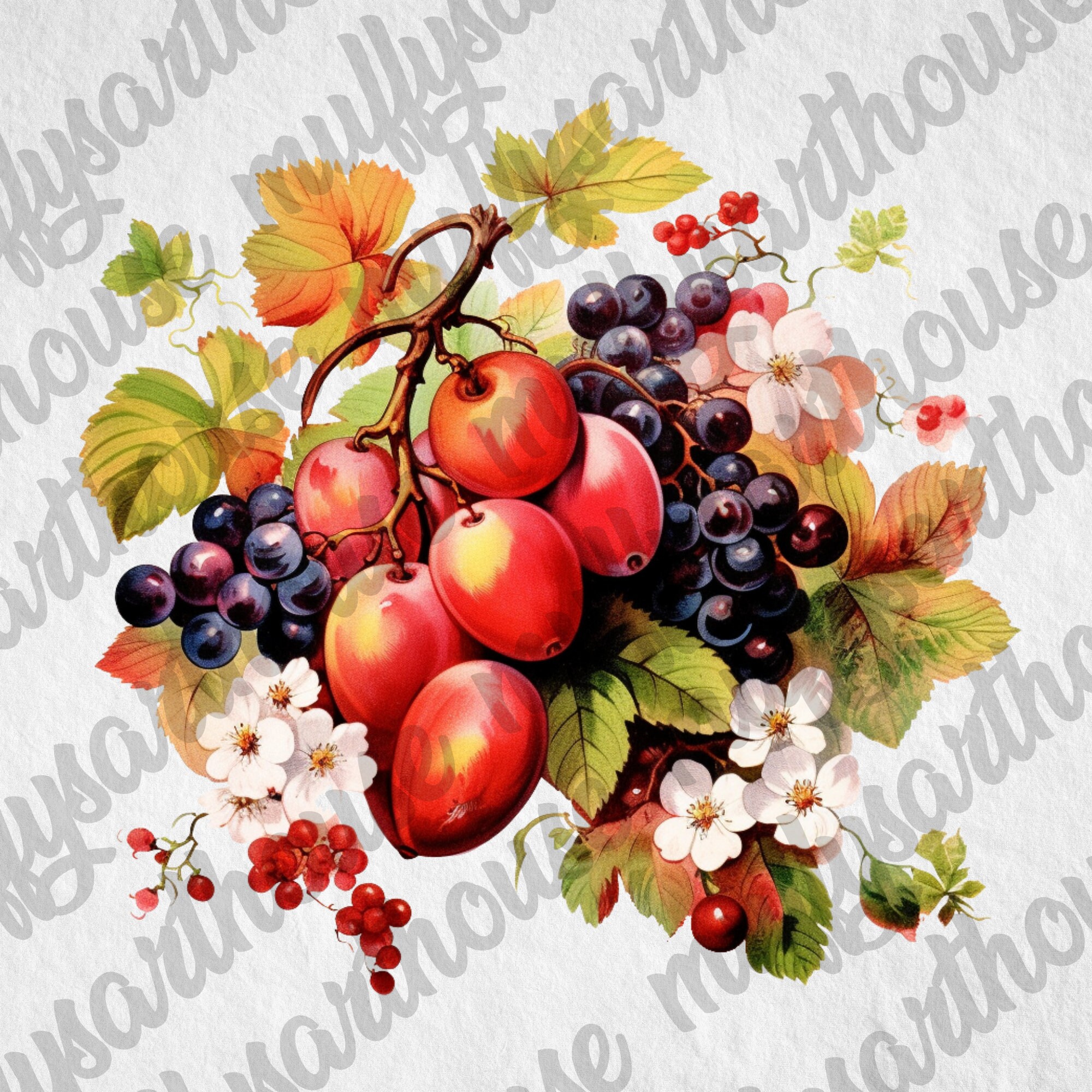 Vintage Style Floral Fruits Cliparts,watercolor Effect,commercial Use ...