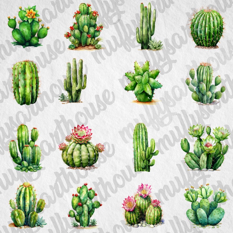 Watercolor Cactus Clipart Bundle, PNG Plants (digital Download) - Etsy