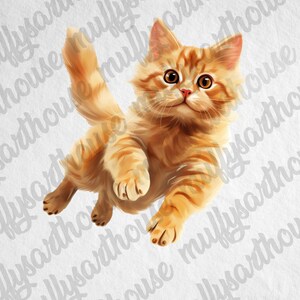 PNG Funny Orange Cat Clipart,orange Cat Sublimation,realistic Cat Clip ...