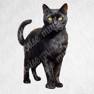 PNG Funny Black Cats Cliparts,black Cat Sublimation,realistic Cat Clip ...