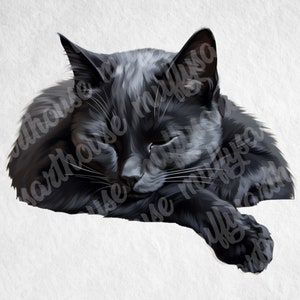 PNG Funny Black Cats Cliparts,black Cat Sublimation,realistic Cat Clip ...
