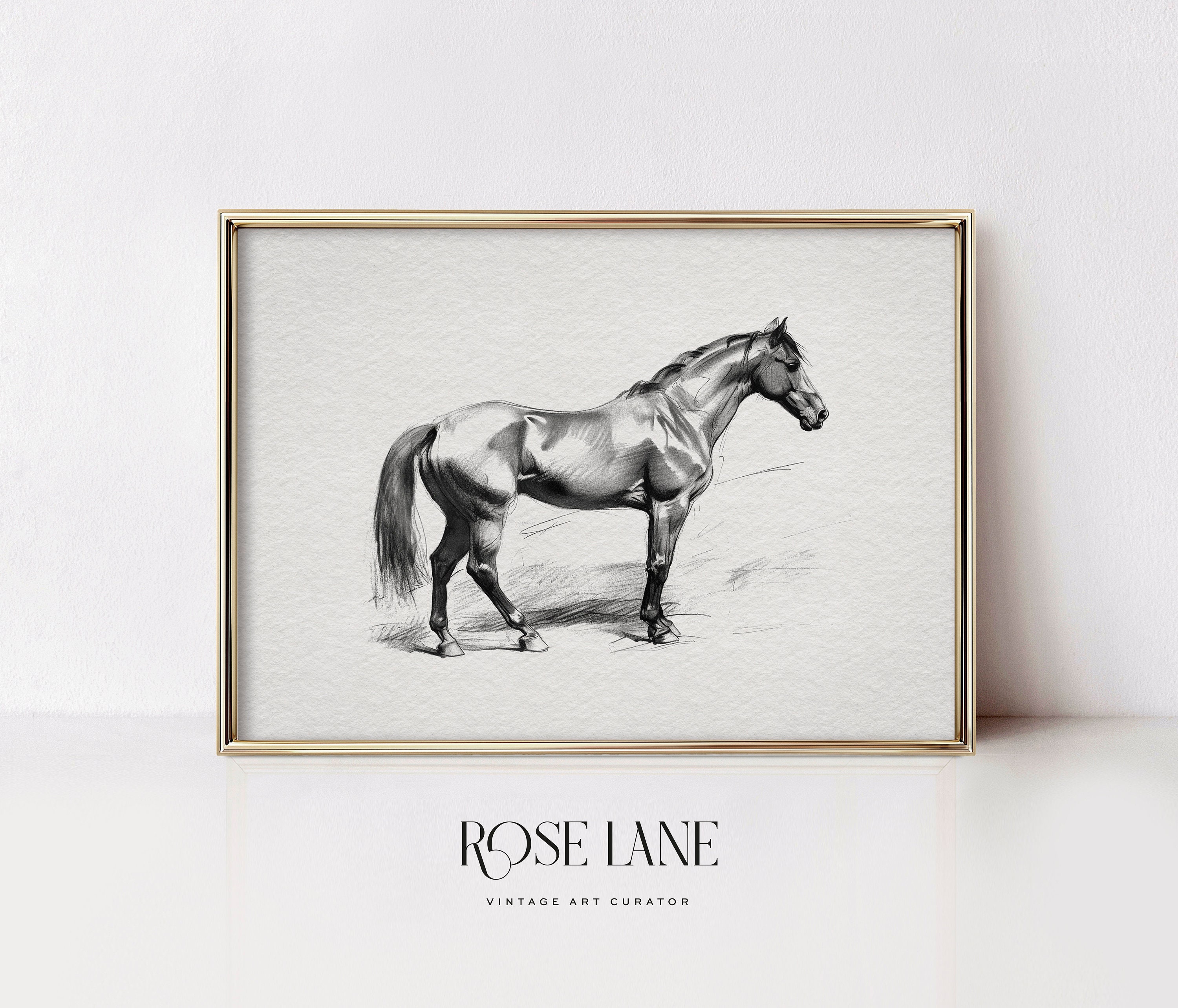 Antique Horse Etching Vintage Horse Art Print Sketch Eclectic Neutral ...