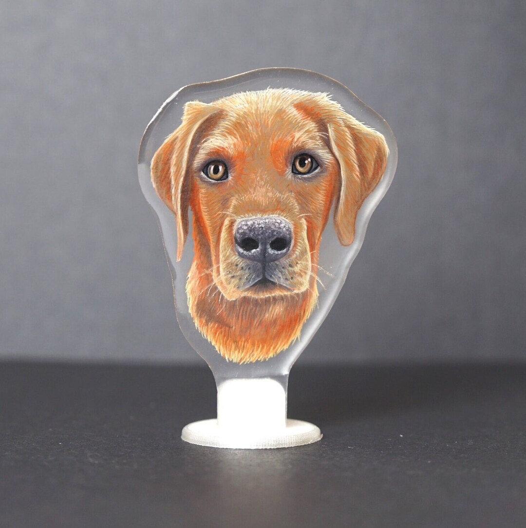 Personalized Standee Pet Hand Drawn Standee Dog Cat Portrait Stand ...