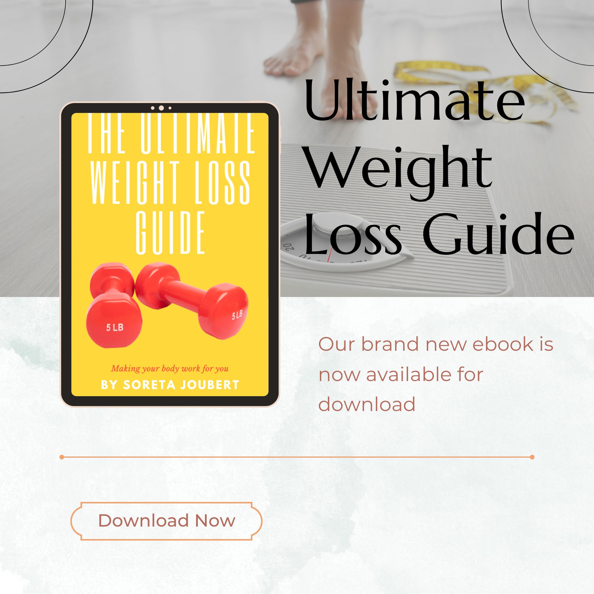 The Ultimate Weight Loss Guide - Etsy