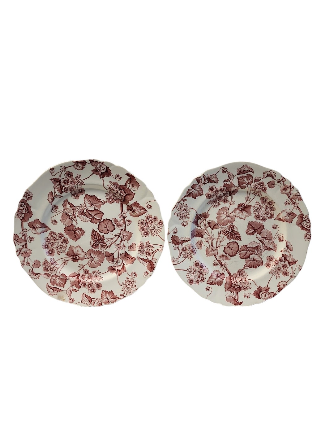 1940s-50s Alfred Meakin Florette Pink Dinner Plates a Pair - Etsy
