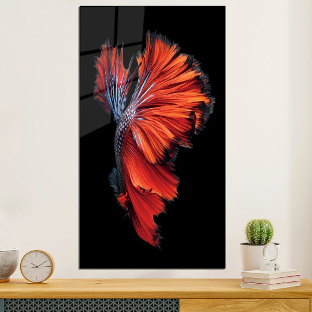 Plexi Glass Wall Art, Multi Sizes Wall Art, Colorful Floral Desing ...