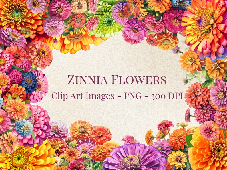 Zinnia Flower Clip Art -- PNG Format --transparent Background-- Instant ...