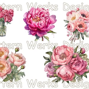 Aquarell rosa Pfingstrose Clip Art -- PNG Format -- Transparenter ...