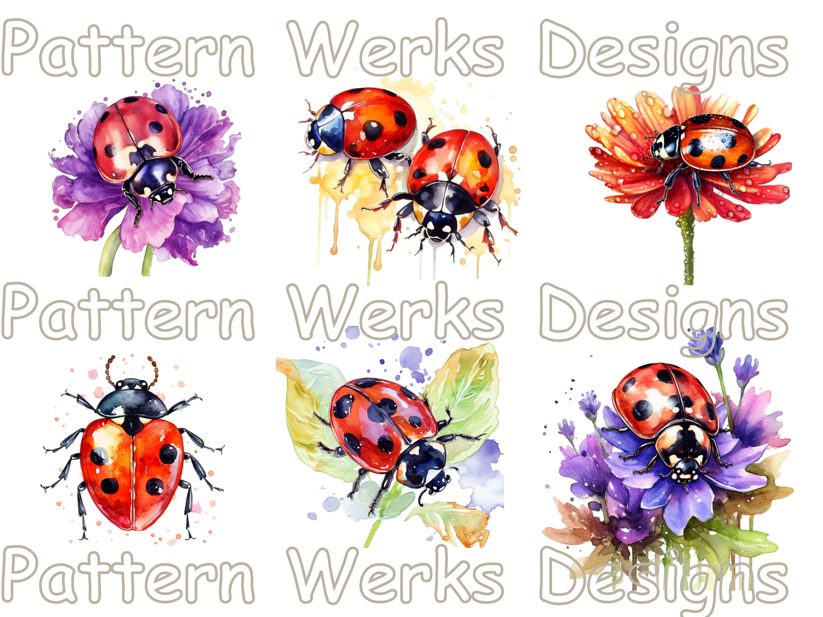 Watercolor Ladybug Clip Art -- PNG Format --transparent Background ...