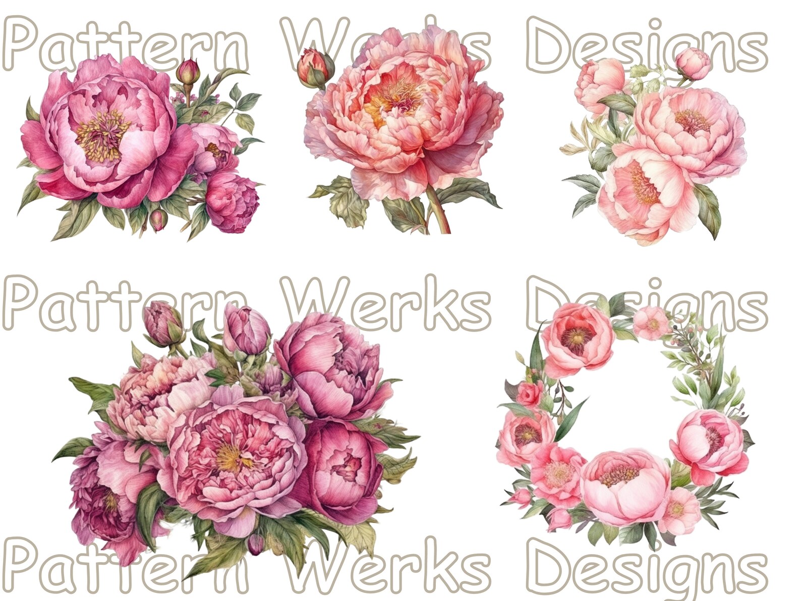Aquarell rosa Pfingstrose Clip Art -- PNG Format -- Transparenter ...
