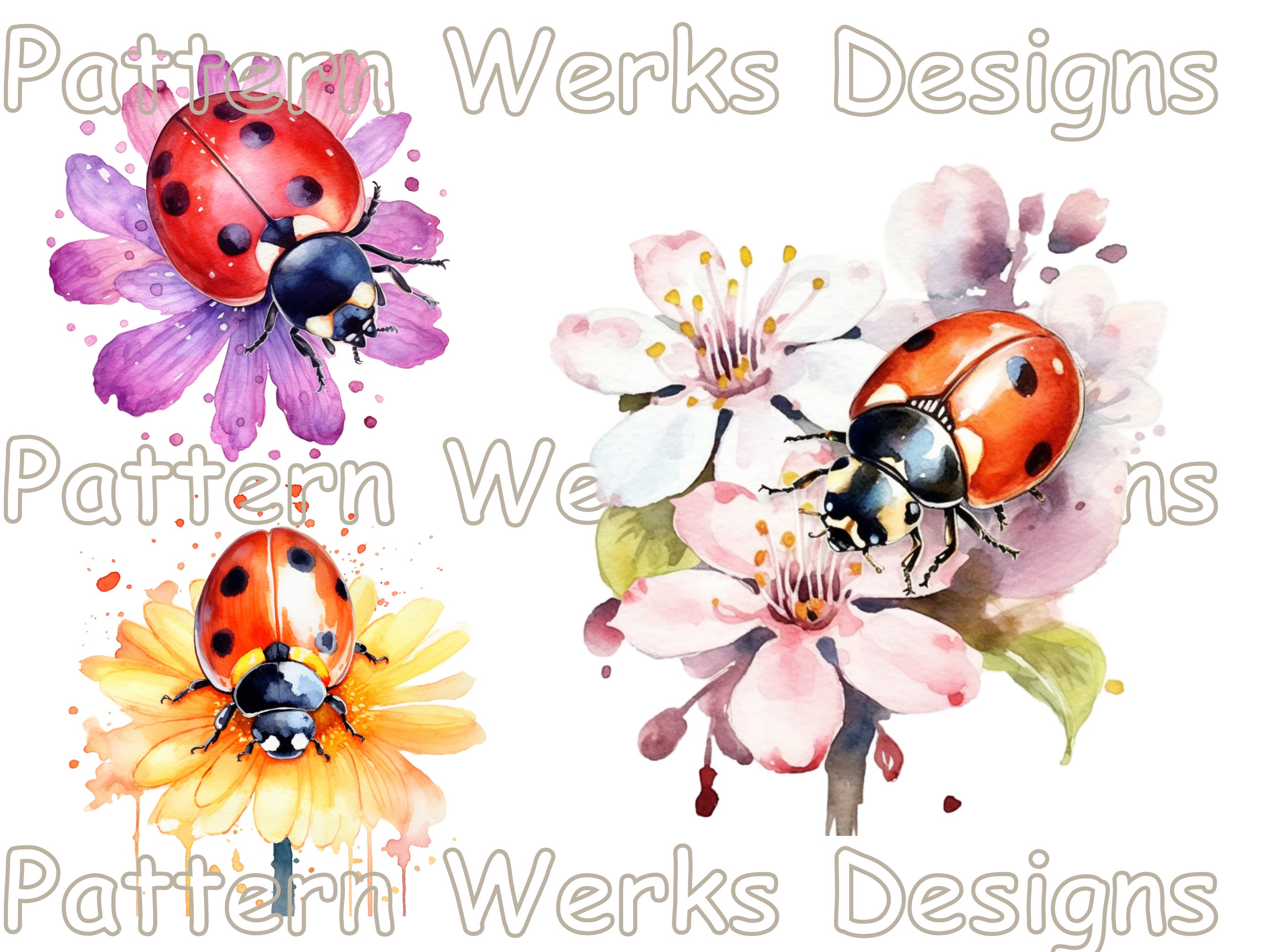 Watercolor Ladybug Clip Art -- PNG Format --transparent Background ...
