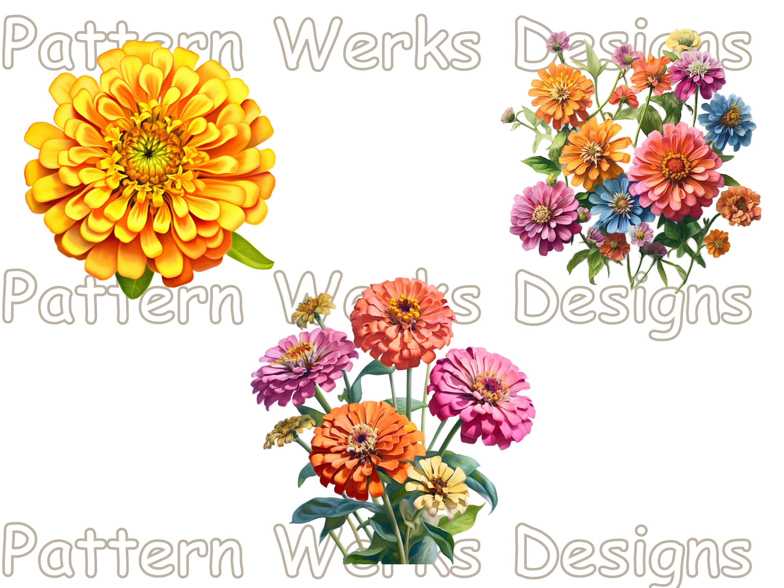 Zinnia Flower Clip Art PNG Format transparent Background Instant ...