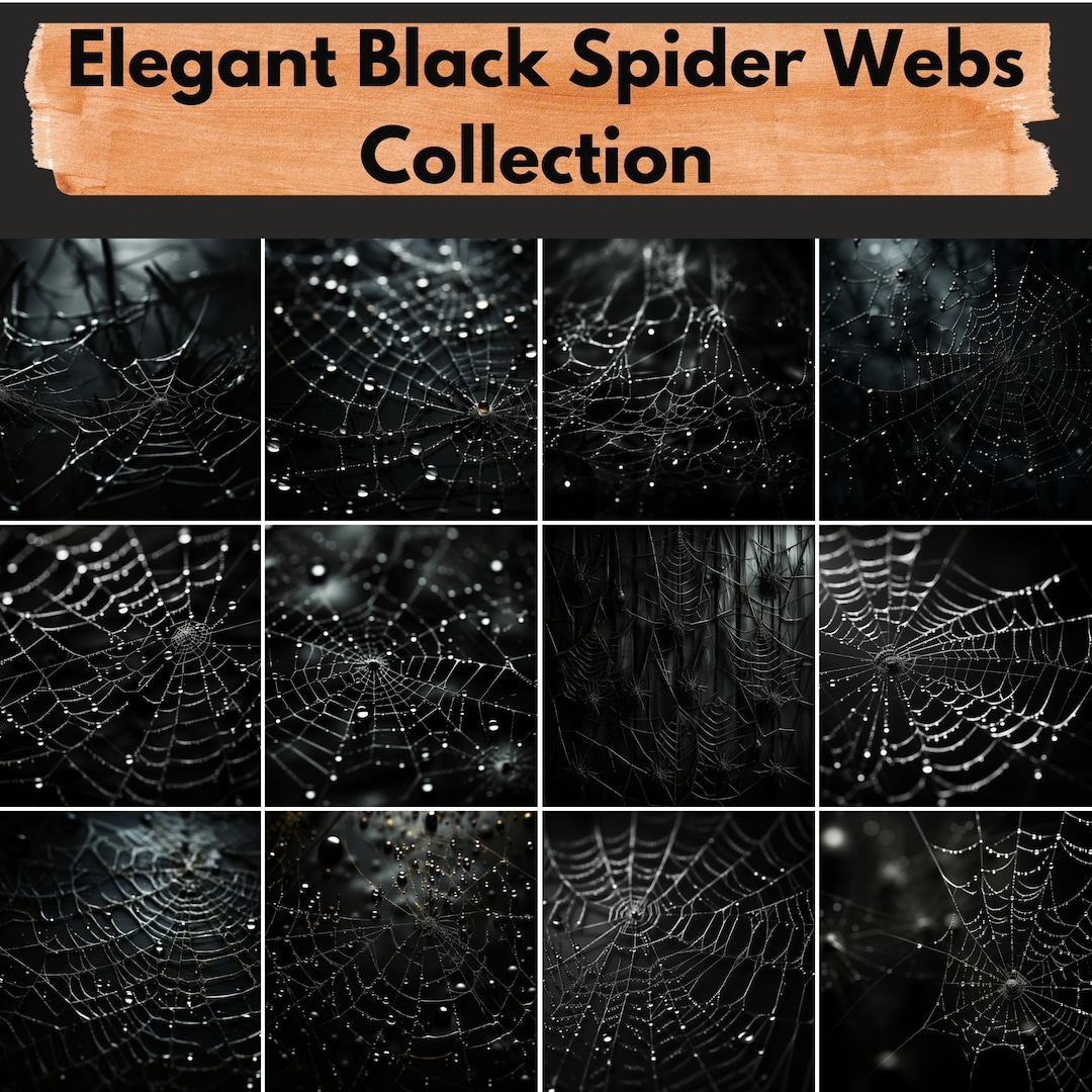 Elegant Black Spider Webs Digital Paper -- Spider Web Backgrounds -- 12 ...