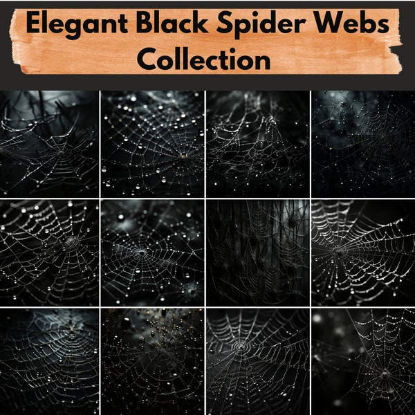 Spider Web Digital Paper - Etsy