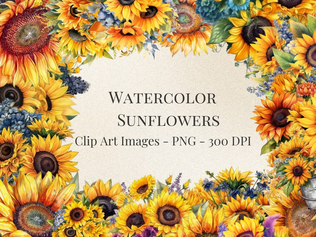 Watercolor Sunflower Clip Art -- PNG Format --transparent Background ...