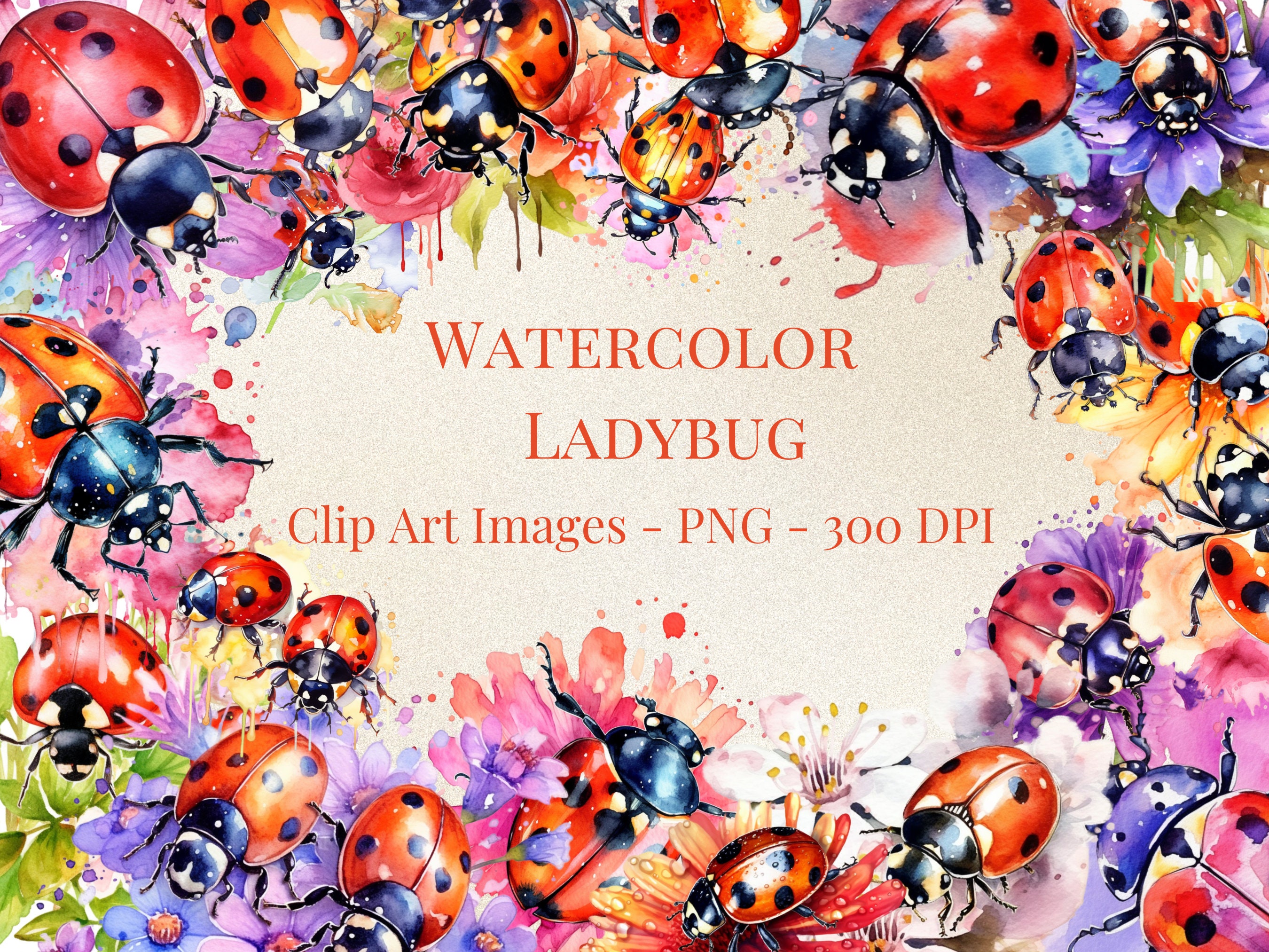 Watercolor Ladybug Clip Art -- PNG Format --transparent Background ...
