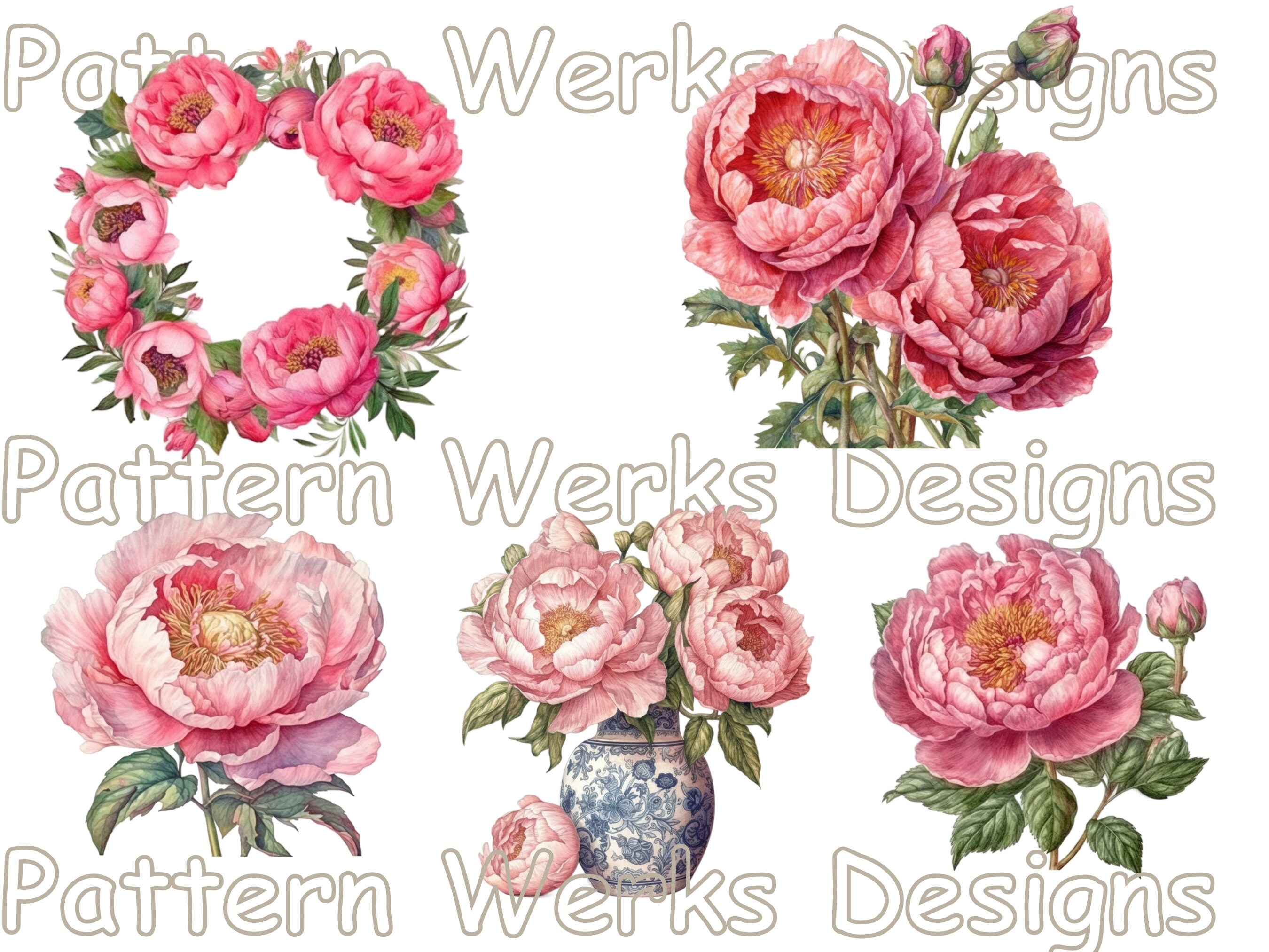 Watercolor Pink Peony Flower Clip Art -- PNG Format --transparent ...