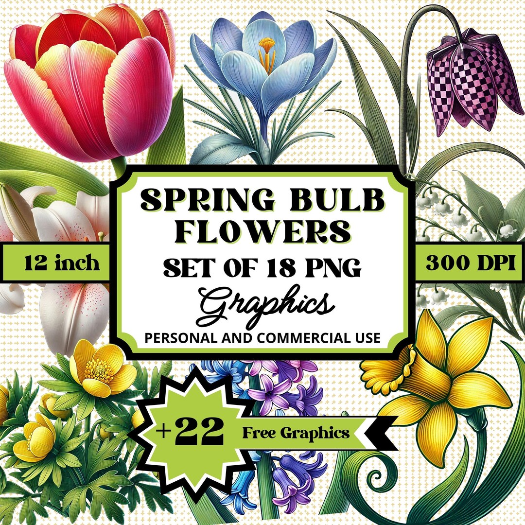 Spring Bulb Flower PNG Set, Clipart Graphics Bundle, Instant Digital ...