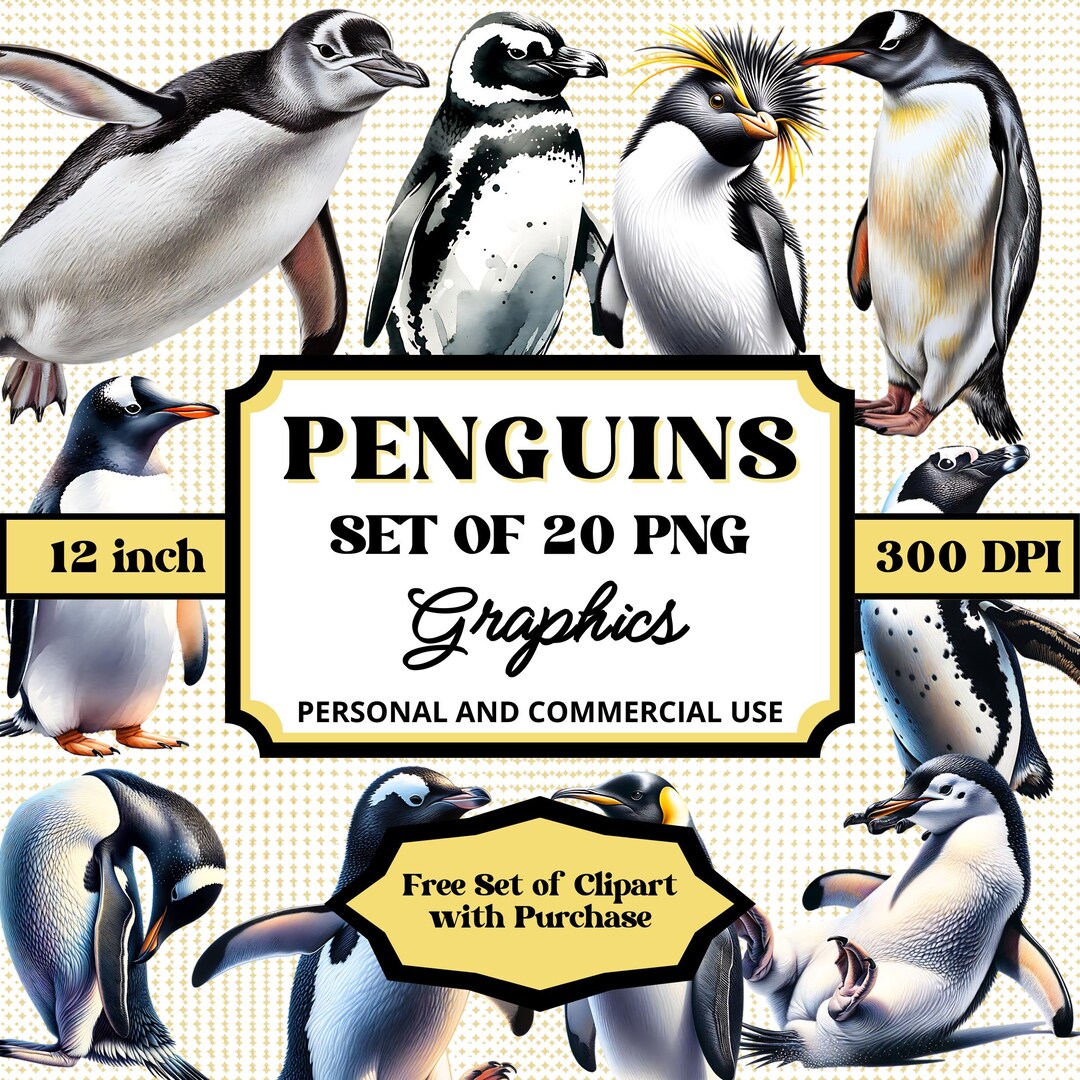 Penguin Clipart PNG Set, 20 High-quality Graphics Bundle, 12 Inch 300 ...