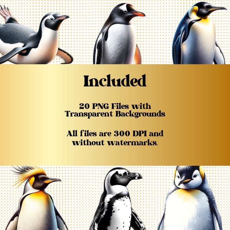Penguin Clipart PNG Set, 20 High-quality Graphics Bundle, 12 Inch 300 ...