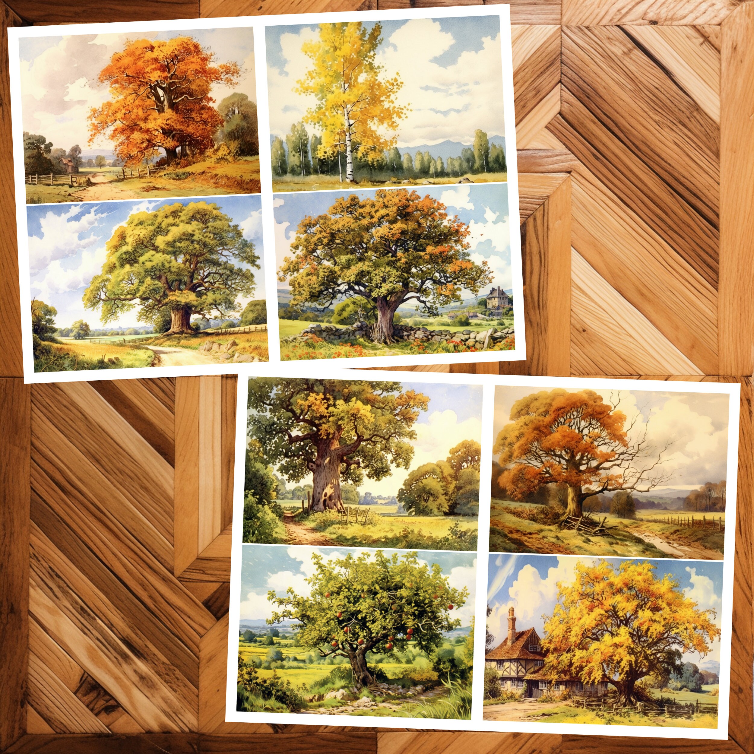 English Trees Postcards, English Postcards, Trees Postcards, Trees ...