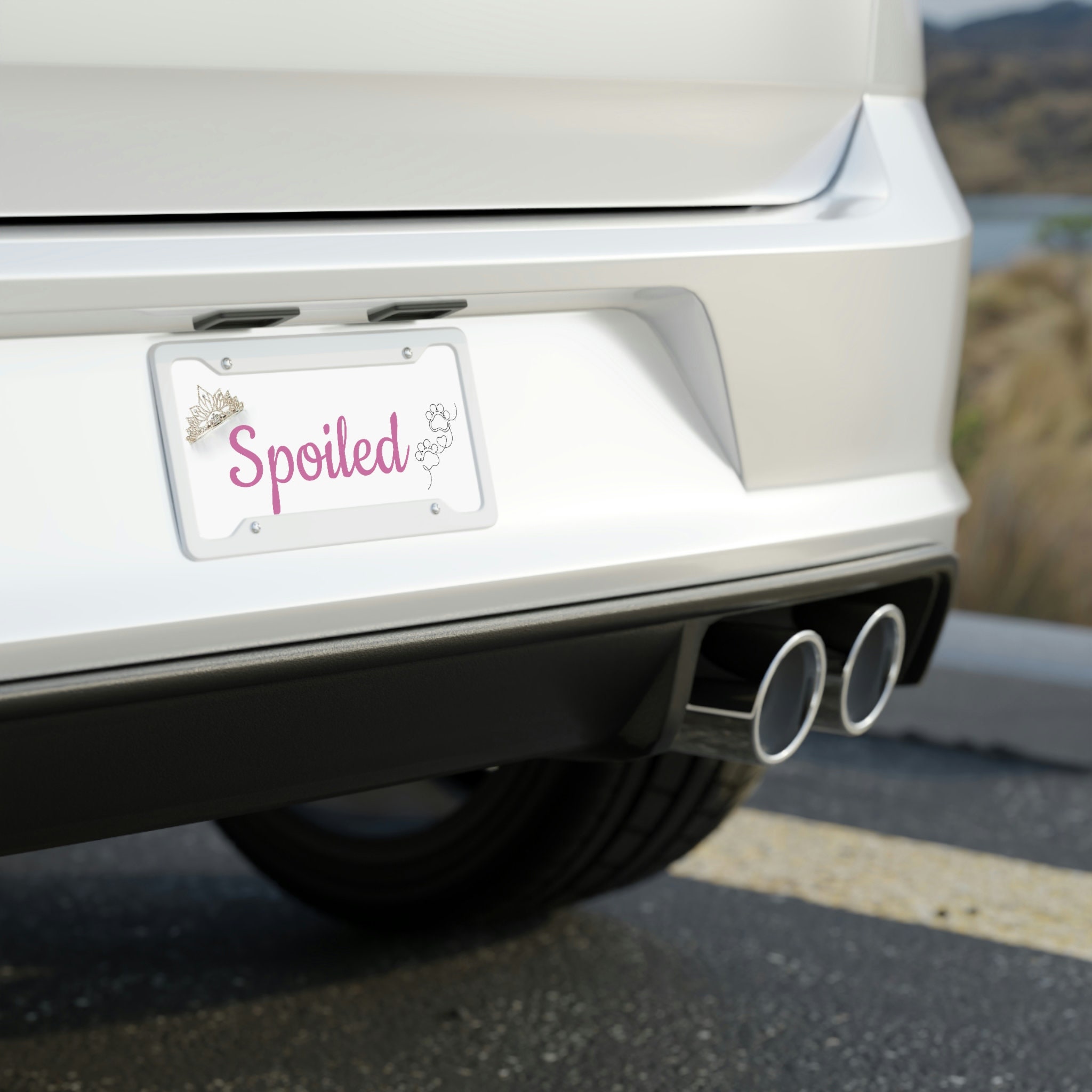 Spoiled License Plate - Etsy
