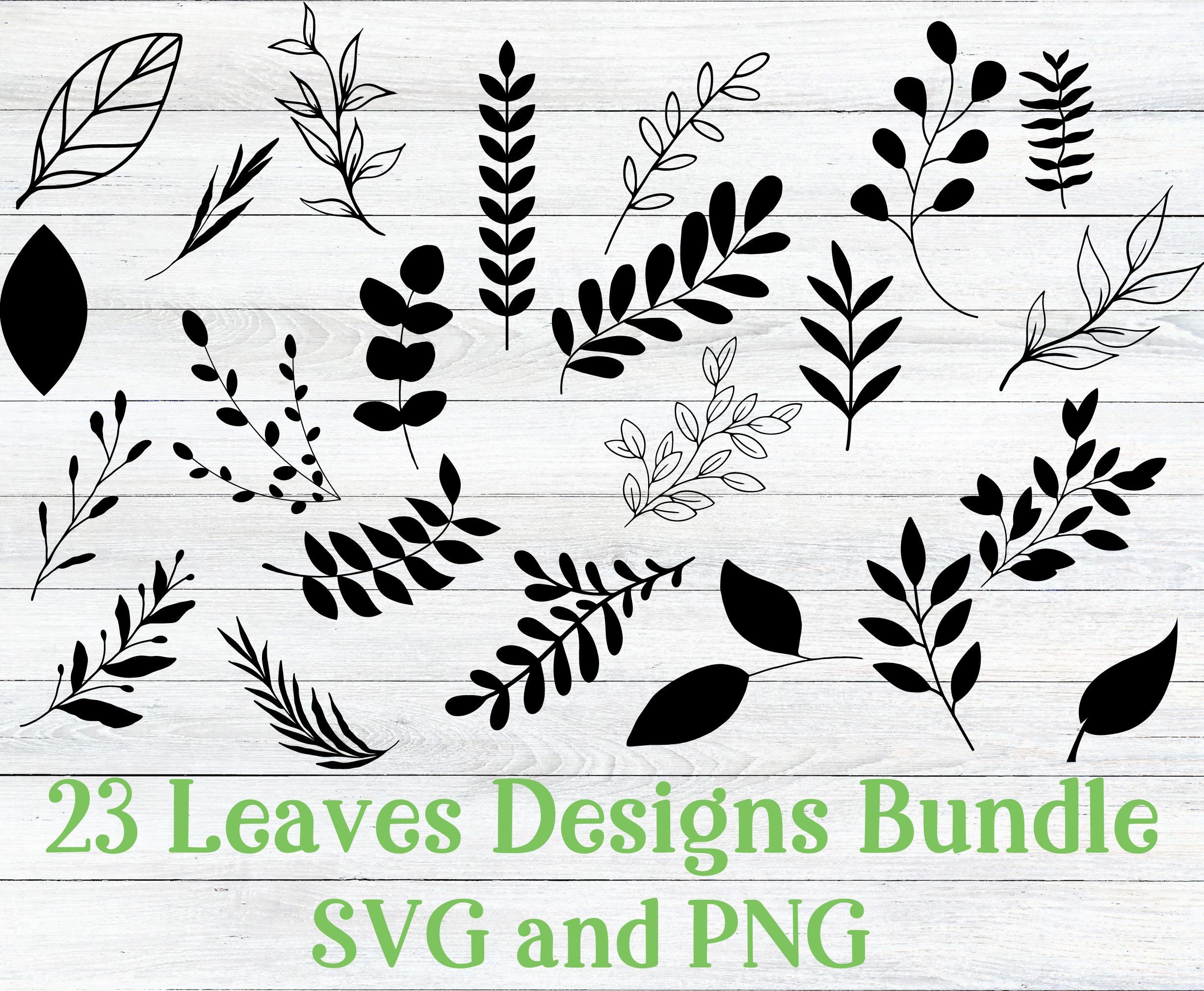 Leaves SVG Bundle, Botanical PNG, Branch SVG, Greenery Png, Square ...