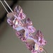 Swarovski Crystals - Choice 6mm, 8mm or 10mm Crystal Butterfly Bead - Light Rose - Vertical Top ...