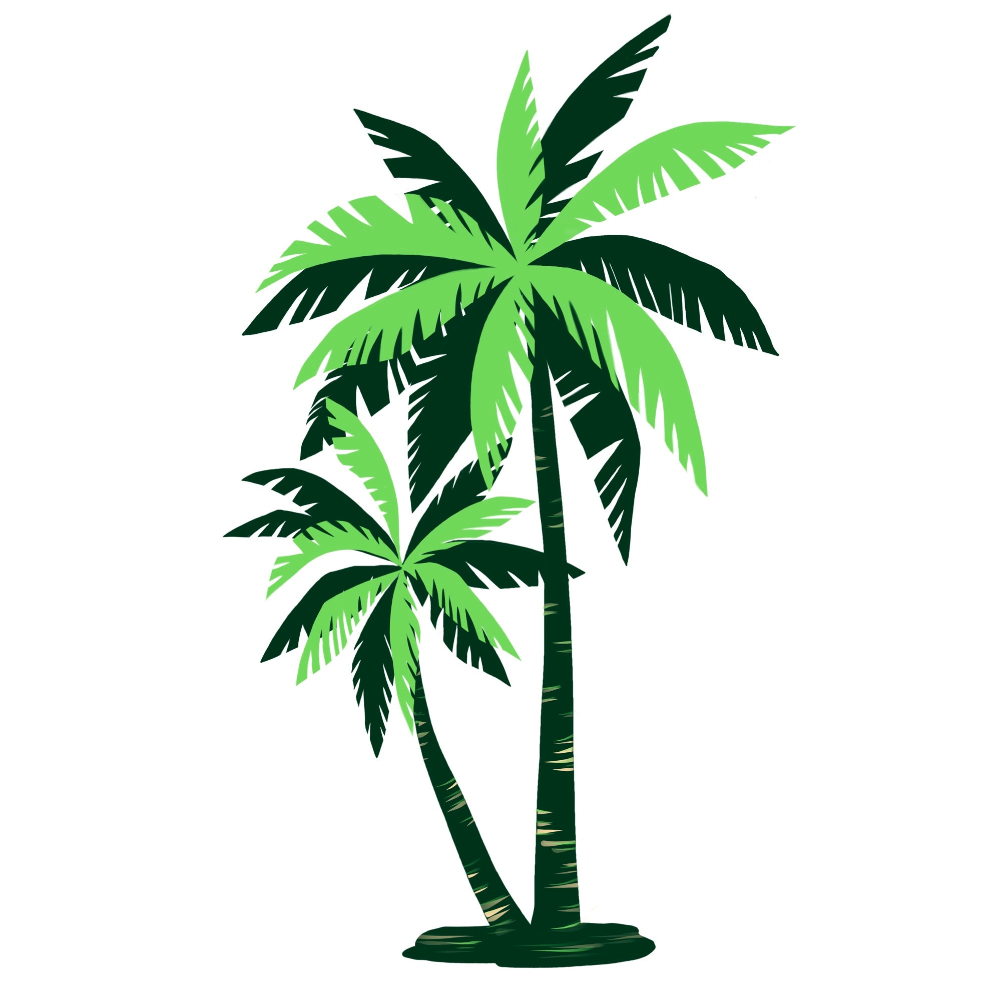 Palm Tree, Palm Tree PNG, Palm Tree Digital, Digital Download, Palm ...