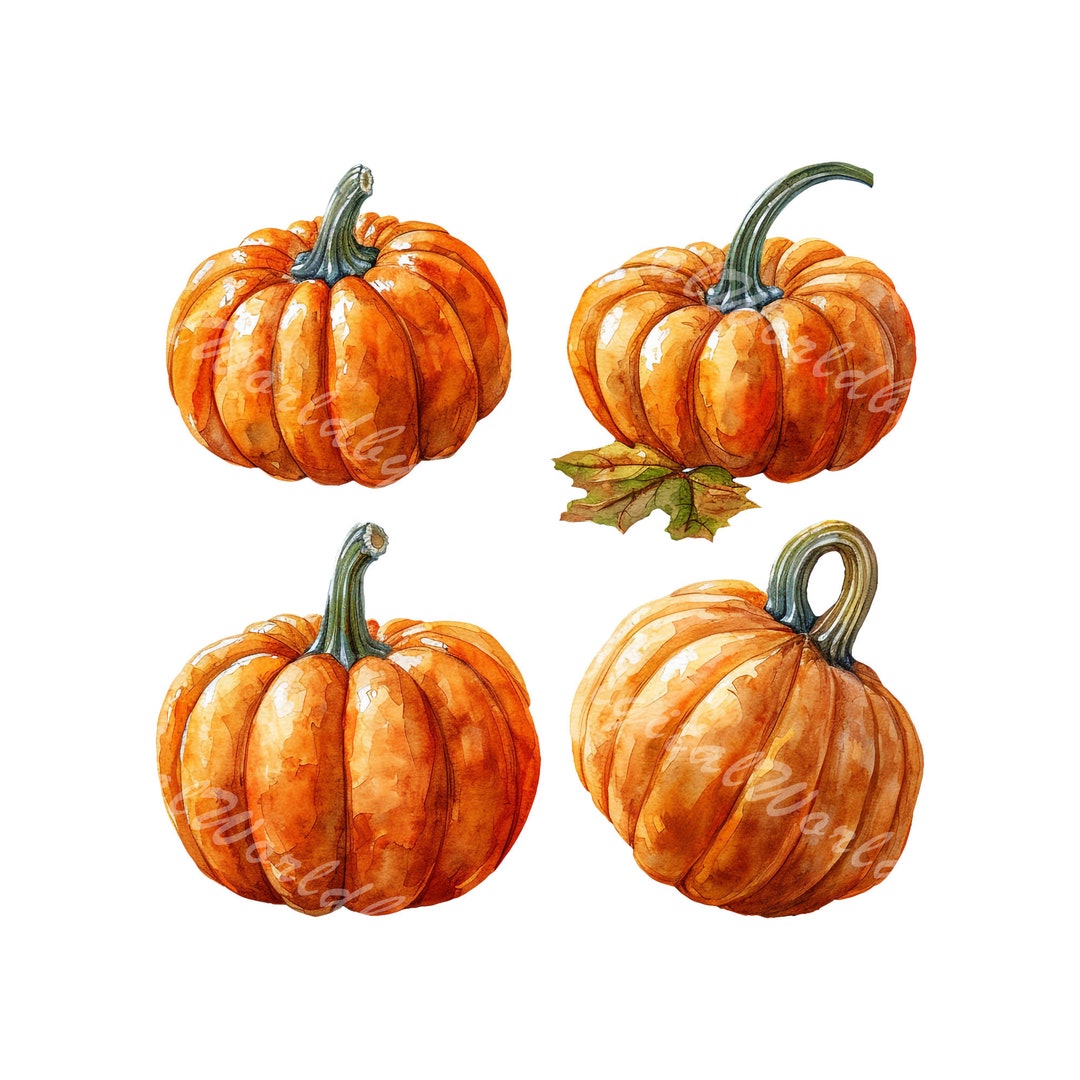 Watercolor Pumpkin Set Clipart, Harvest Illustration PNG Art Fall ...