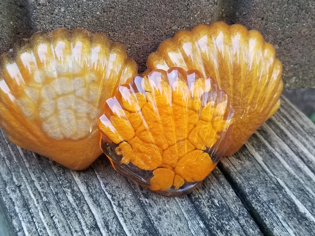 Set of 3 Sea Shells, Magnets, Fridge Magnet - Etsy