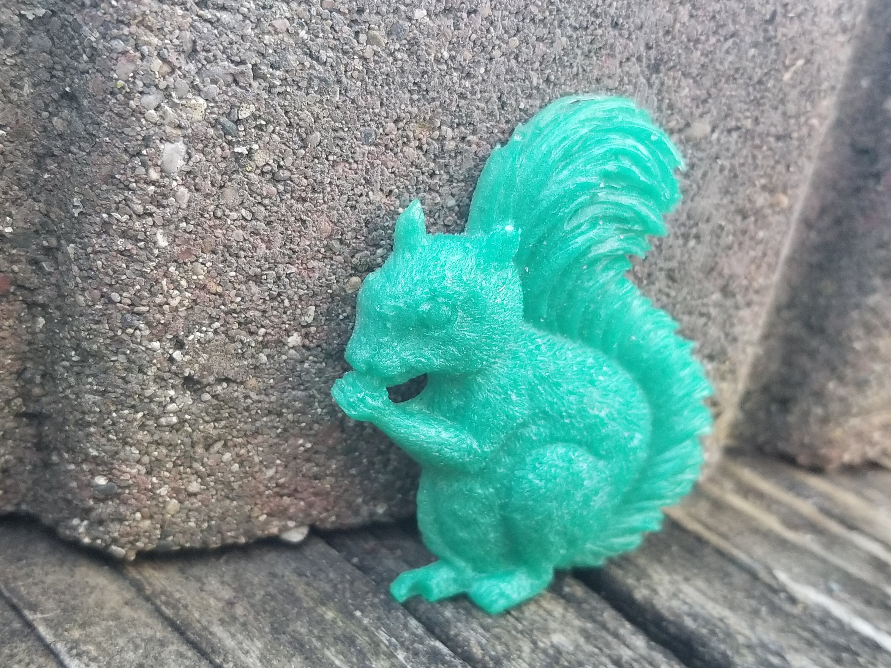 Squirrel Refrigerator Magnets, Cute Squirrel - Etsy