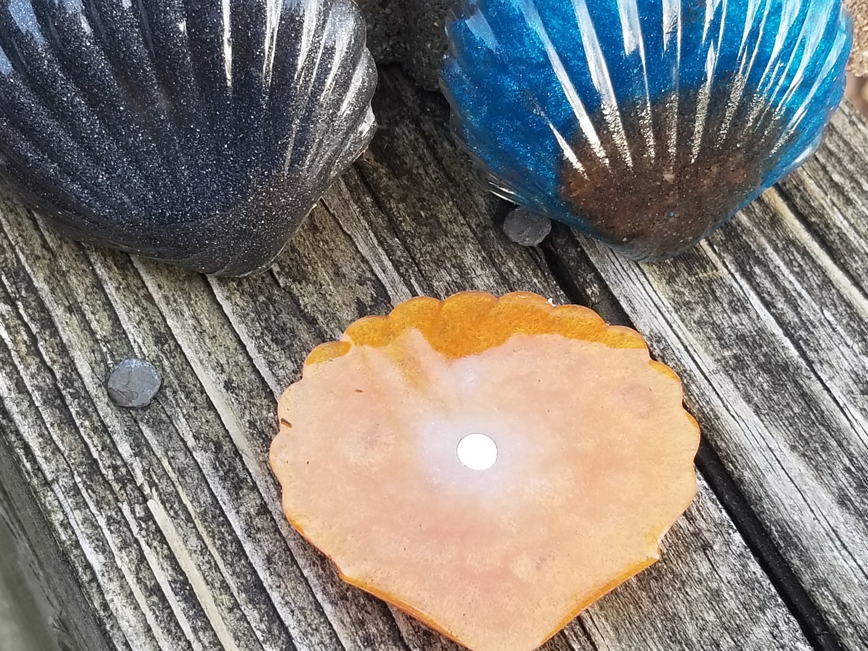 Set of 3 Sea Shells Magnets Fridge Magnet - Etsy