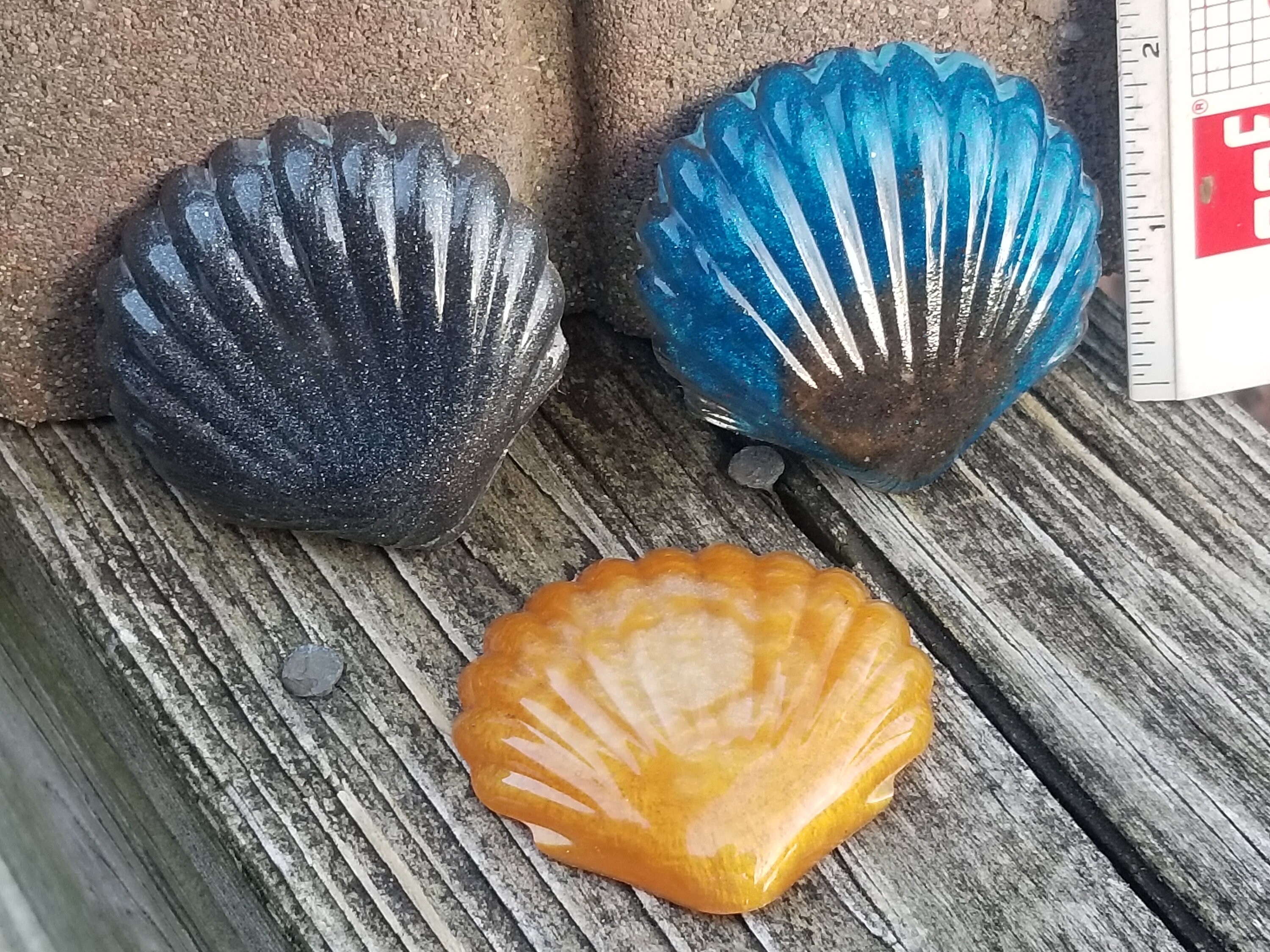 Set of 3 Sea Shells Magnets Fridge Magnet - Etsy
