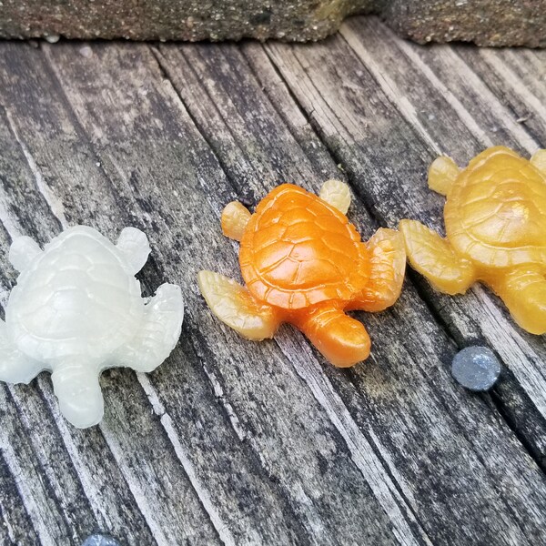 Turtle Fridge Magnets - Etsy