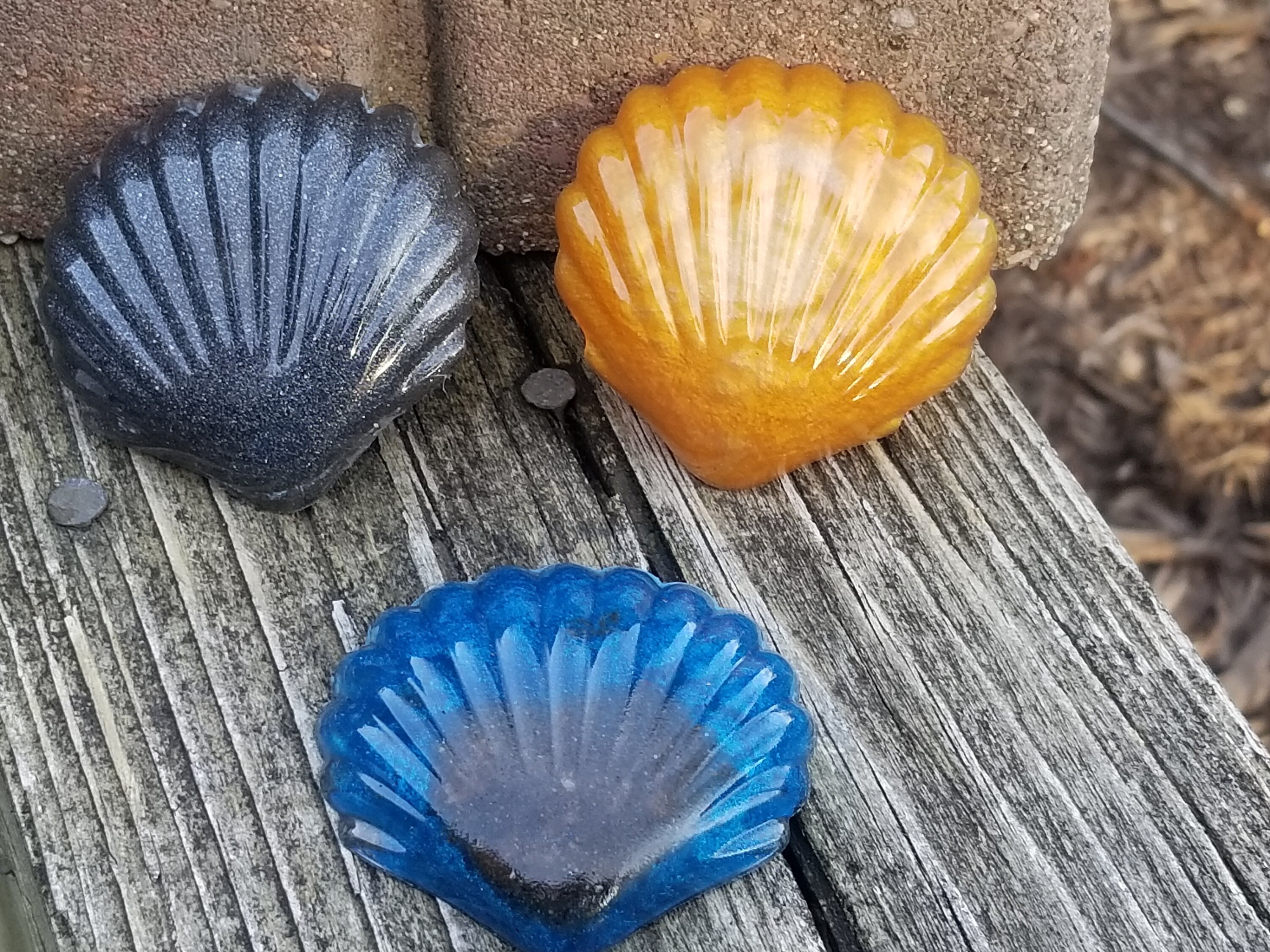 Set of 3 Sea Shells, Magnets, Fridge Magnet - Etsy