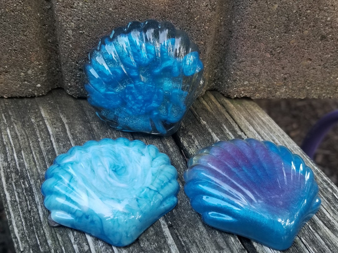 Set of 3 Sea Shells, Magnets, Fridge Magnet - Etsy