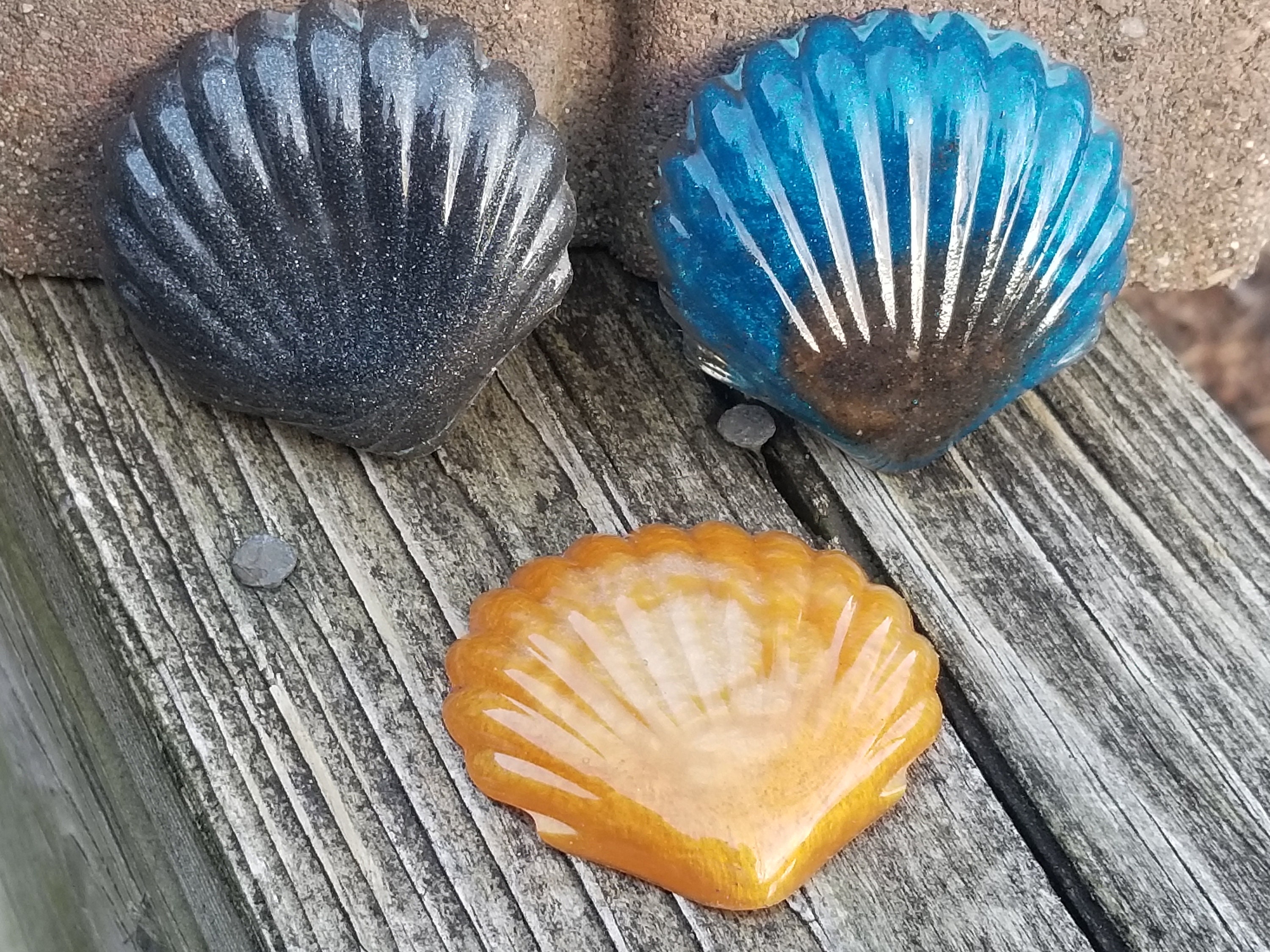 Set of 3 Sea Shells Magnets Fridge Magnet - Etsy