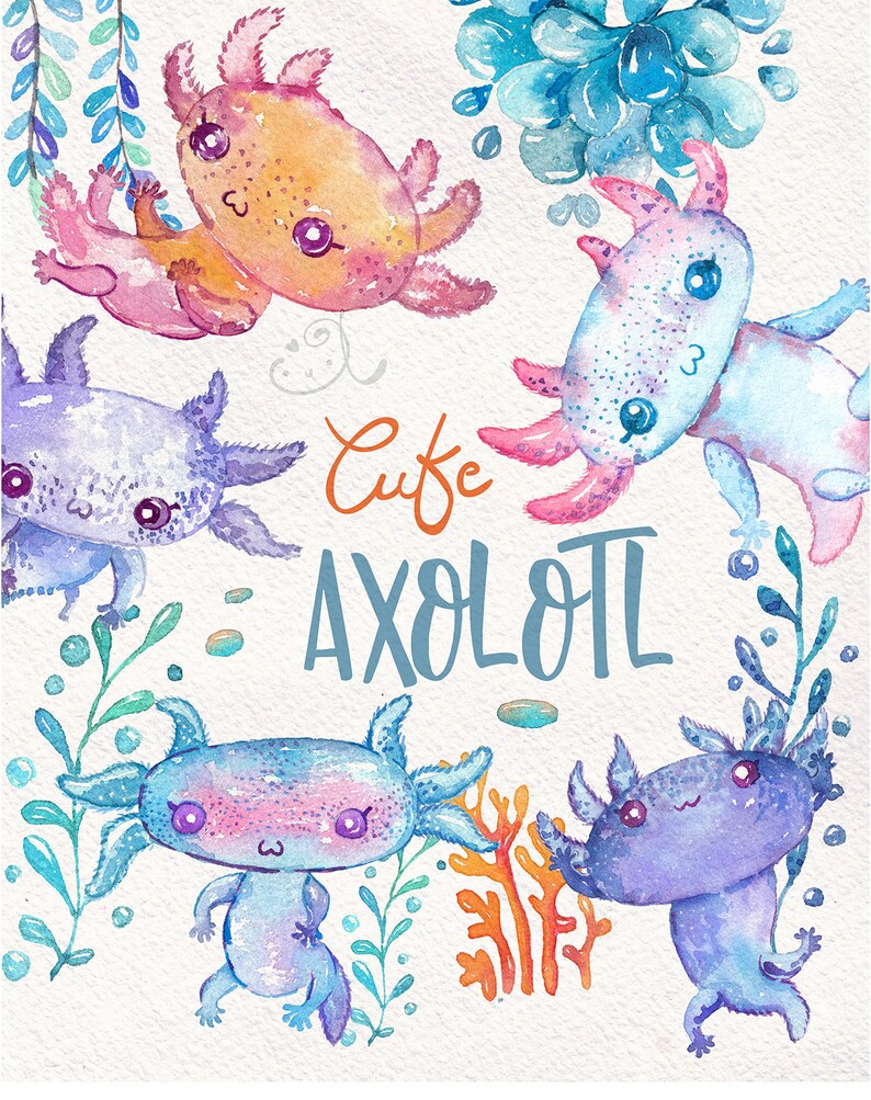 Axolotl PNG Clip Art Watercolor Cute Animal Kawaii - Etsy
