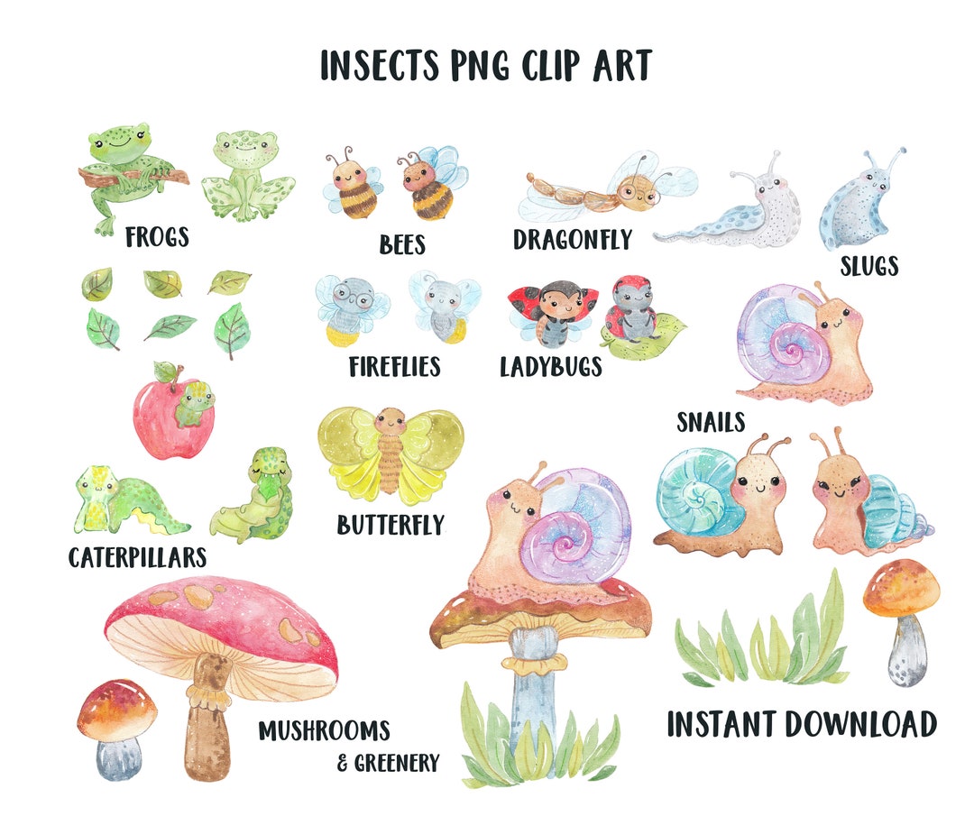 Insects Frog Bee Dragonfly Slug Firefly Ladybug Snail Caterpillar ...