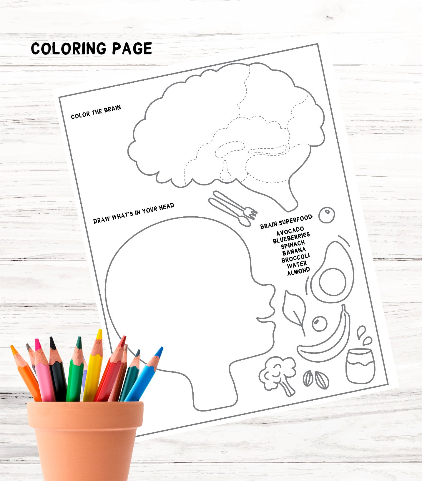 Brain Anatomy Bundle Human Brain Parts Matching Printable Homeschool ...