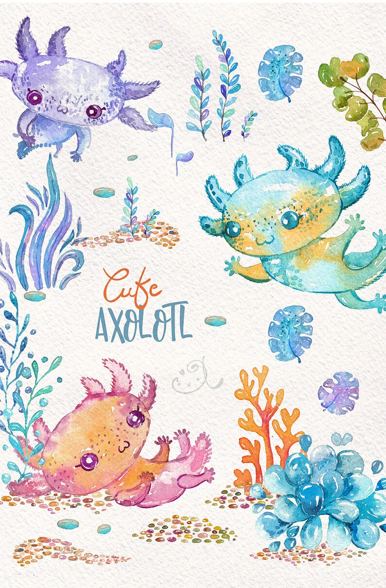 Axolotl PNG Clip Art Watercolor Cute Animal Kawaii - Etsy