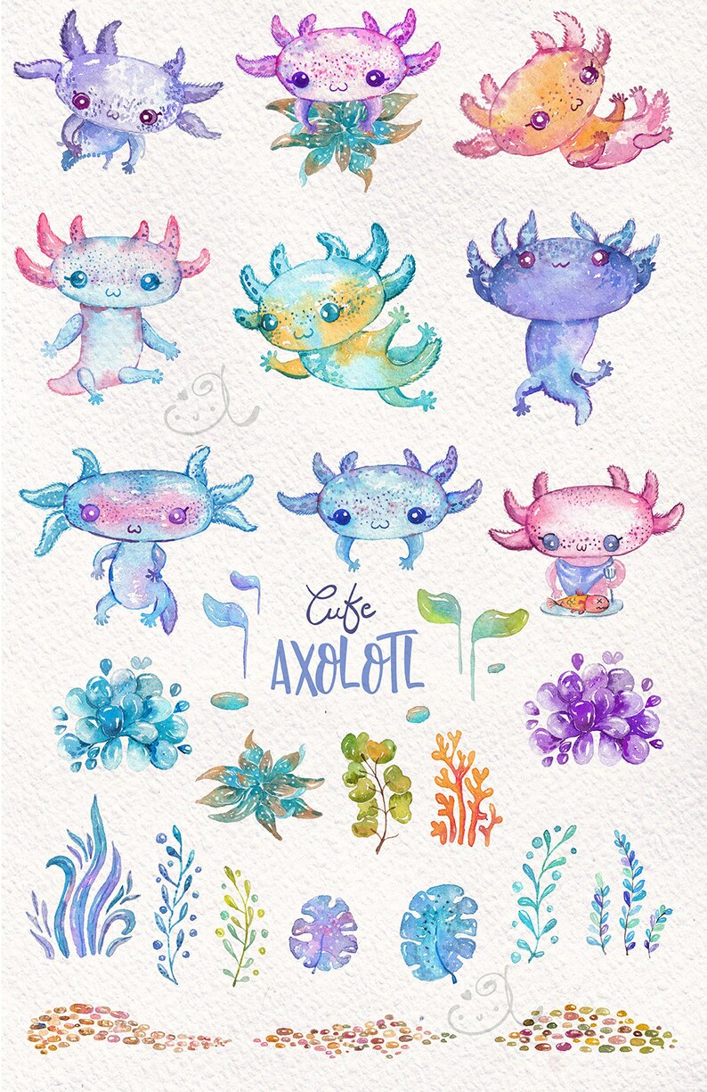 Axolotl PNG Clip Art Watercolor Cute Animal Kawaii - Etsy