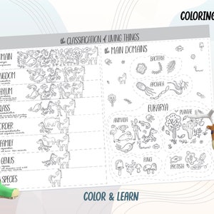Cycle 1 Science Coloring Placemat Page Memory Work CLASSIFICATION of ...