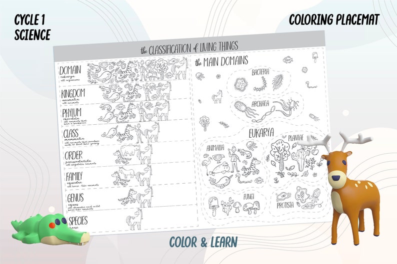 Cycle 1 Science Coloring Placemat Page Memory Work CLASSIFICATION of ...