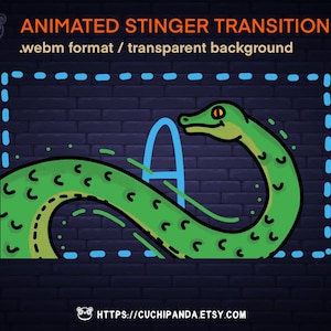 Snake Stinger Transition: Animated Stream Overlay for Twitch - Etsy