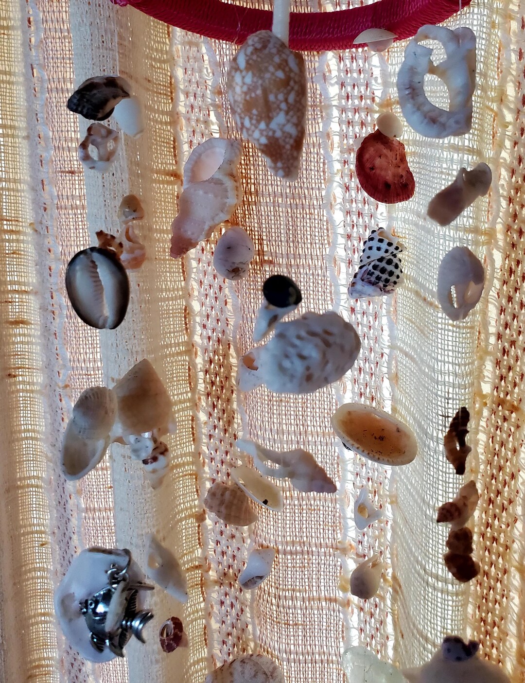 Shell Chimes Natural Hole - Etsy