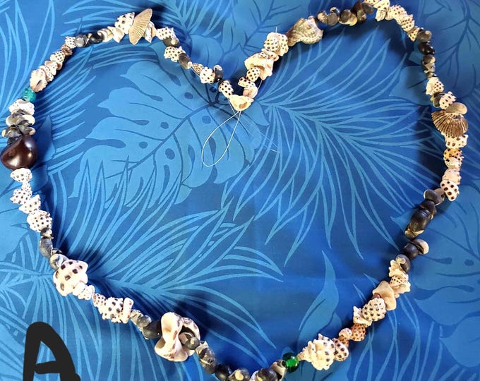 Hawaiian Opihi Shells..limpets - Etsy